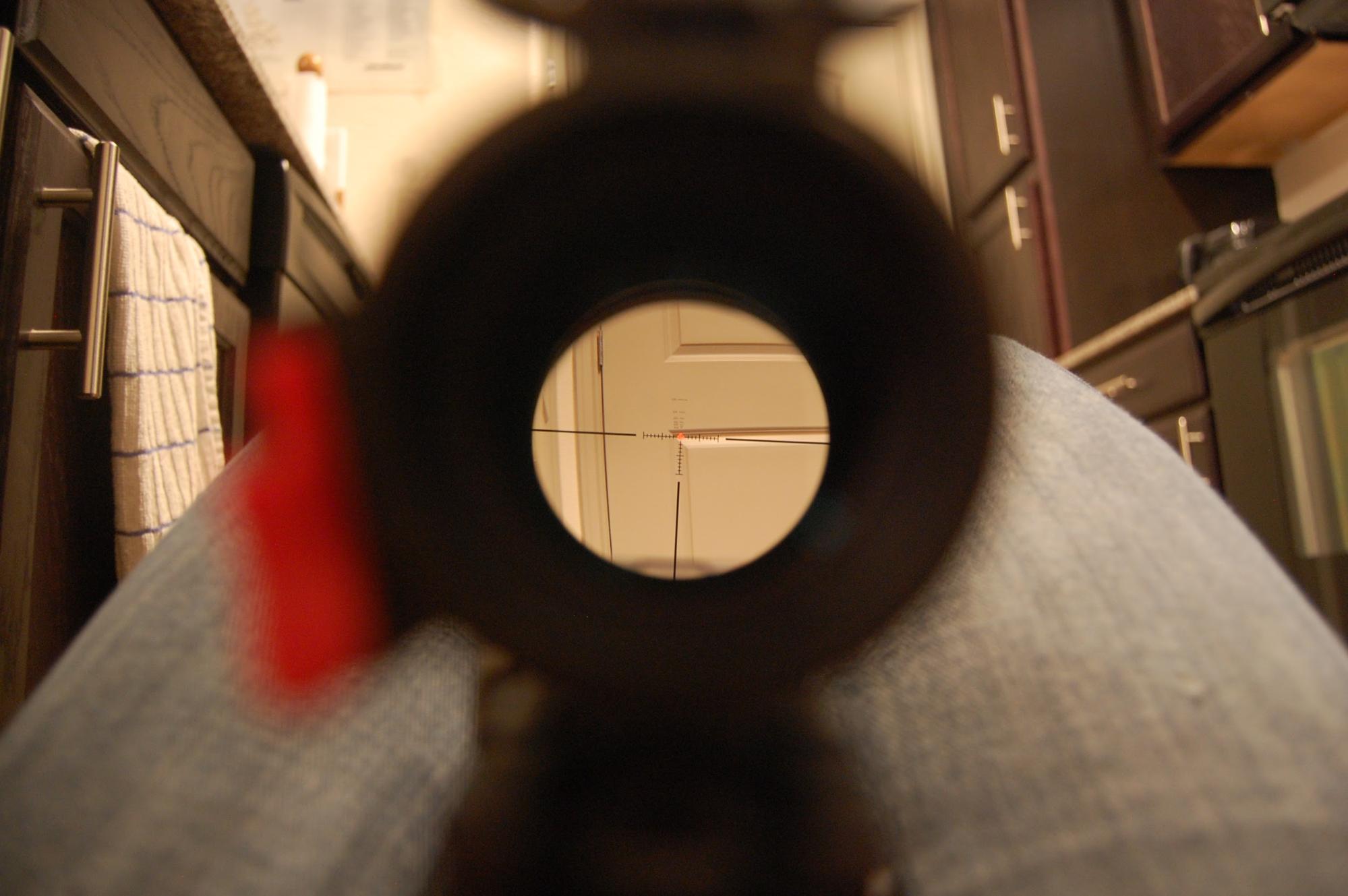 Review: SWFA SS 1-4x24 - The Kommando Blog