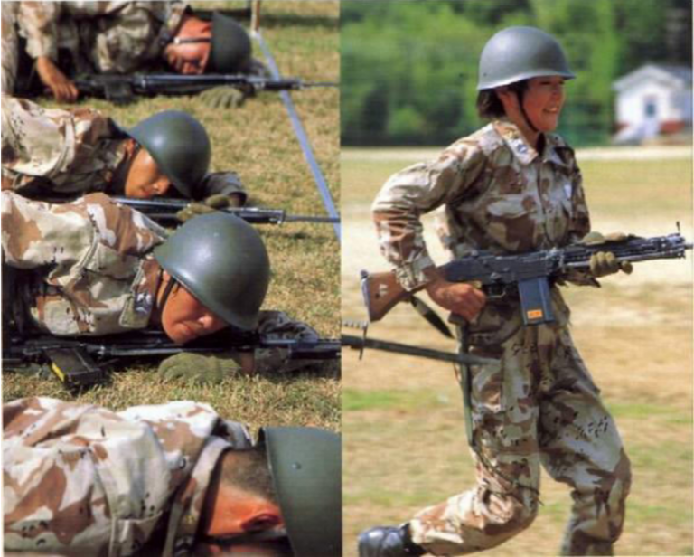 History of Japanese Self Defense Force Camouflage Patterns: 1970’s ...